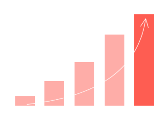 ¿Qué es Zing? - Zing Programme