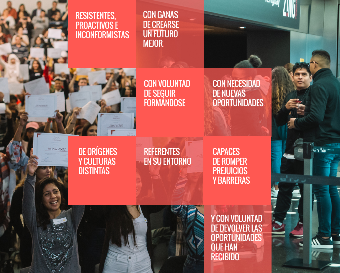 ¿Qué significa ser Zinger? - Zing Programme